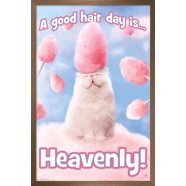 Jurassic World: Fallen Kingdom - Indo-Raptor Wall Poster, 14.725" x 22. ...