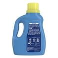 XTRA Plus OxiClean, Crystal Clean, 36 Load Liquid Laundry Detergent ...