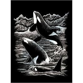 SILF19 - SILVER ENGRAVING ORCA WHALES | Walmart Canada