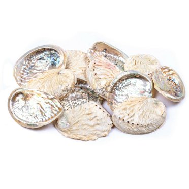 8 Pack: Natural Crushed Shells By Ashland™ - Walmart.com