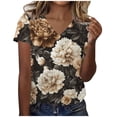 Blczomt Brown Women's T-Shirts Lightweight 2026 Graphic Tee Casual V ...