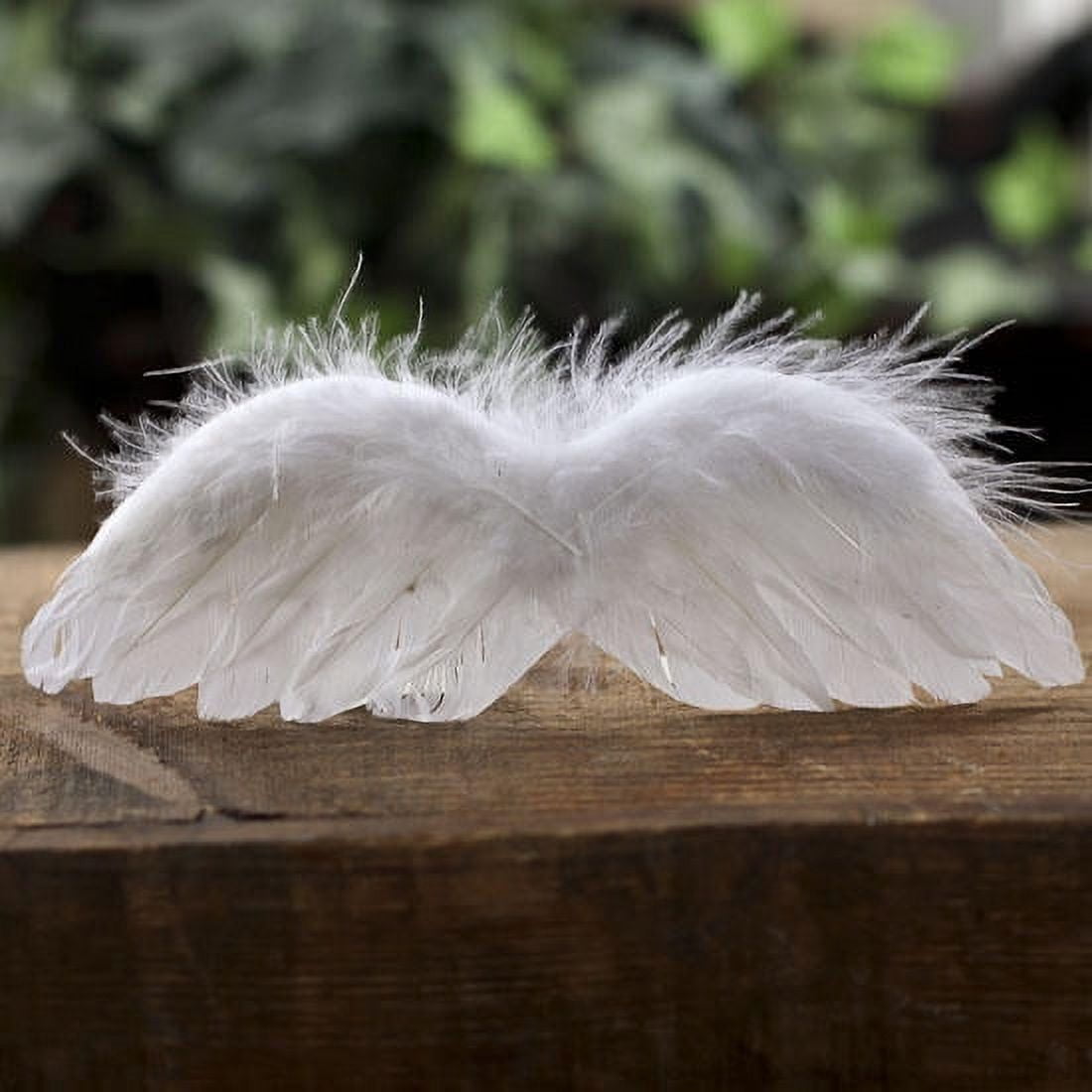 Real Wings