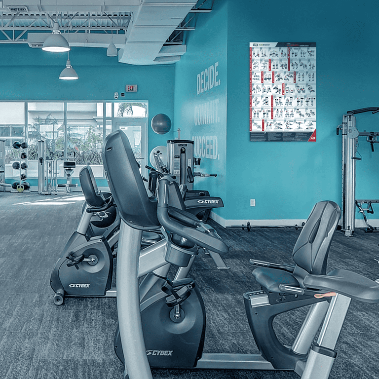 Cybex Workout Sheets | EOUA Blog