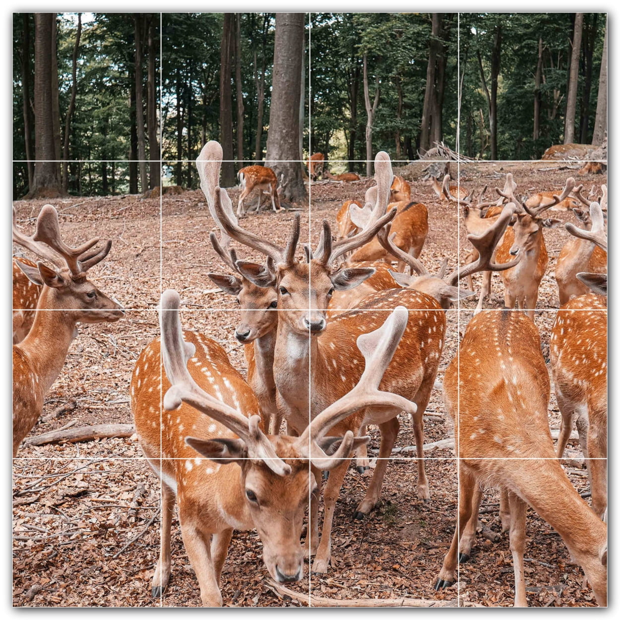 Picture-Tiles.com: Deer Ceramic Tile Wall Mural WAL500467-44XL. 48"W x ...