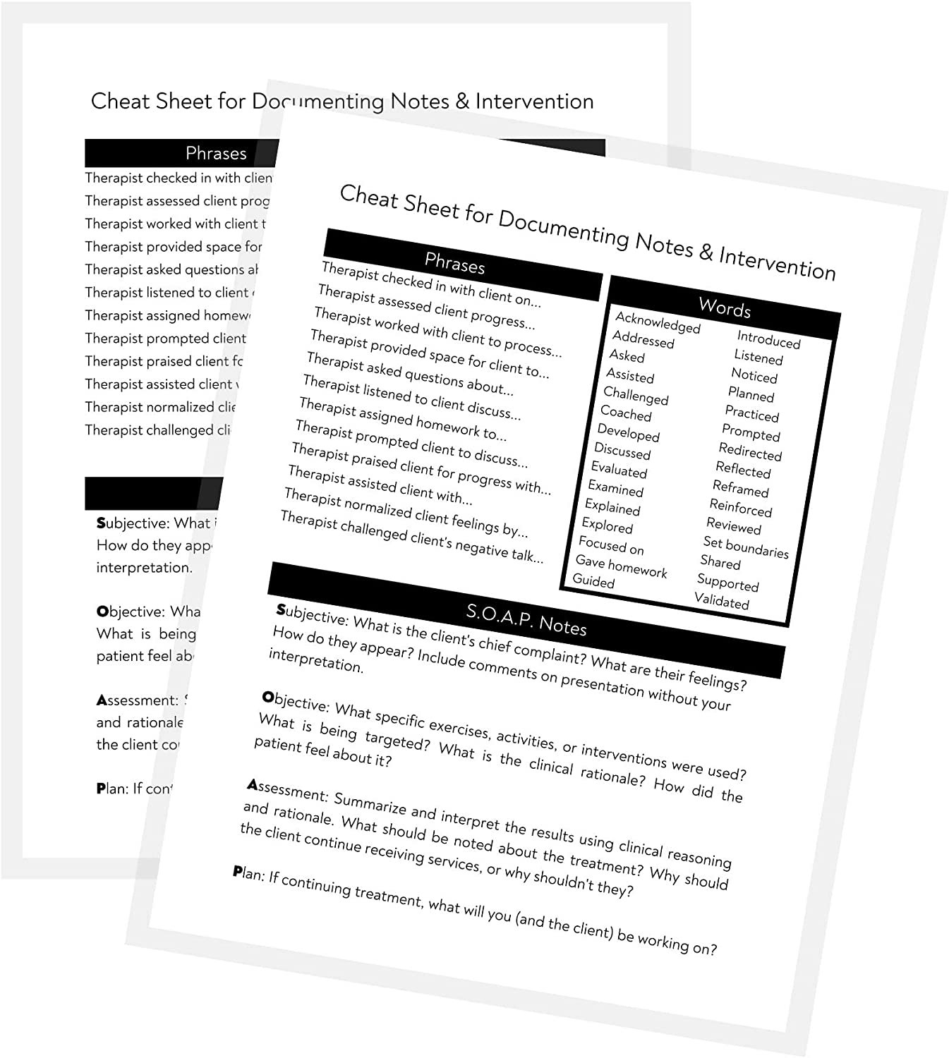 Therapy Notes and Intervention Cheat Sheet 2 Laminated Sheets 8.5 x 11 ...