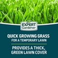 Expert Gardener Kwik Grass Seed Mix, for Sun to Partial Shade, 3 lb ...