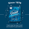 Coast Refreshing Deodorant Bar Soap, Classic Scent, Foamy Lather, 3.2 oz, 8 Bars - Walmart.com