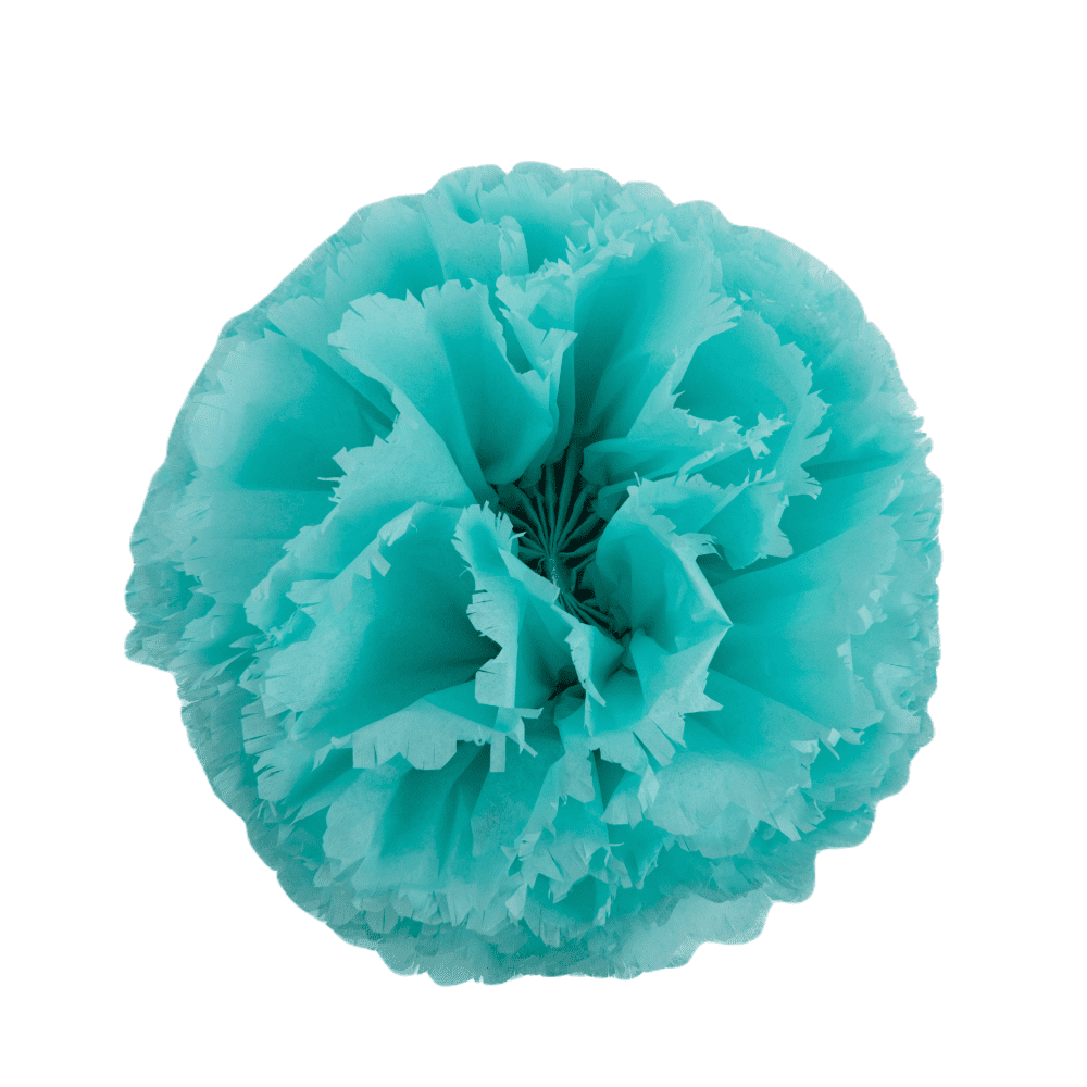 Aqua Blue Tissue Paper Squares, Bulk 24 Sheets, Presents by Feronia ...