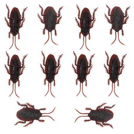 Ccdes Tricky Cockroaches Model,Cockroaches Prank Props,10pcs ...