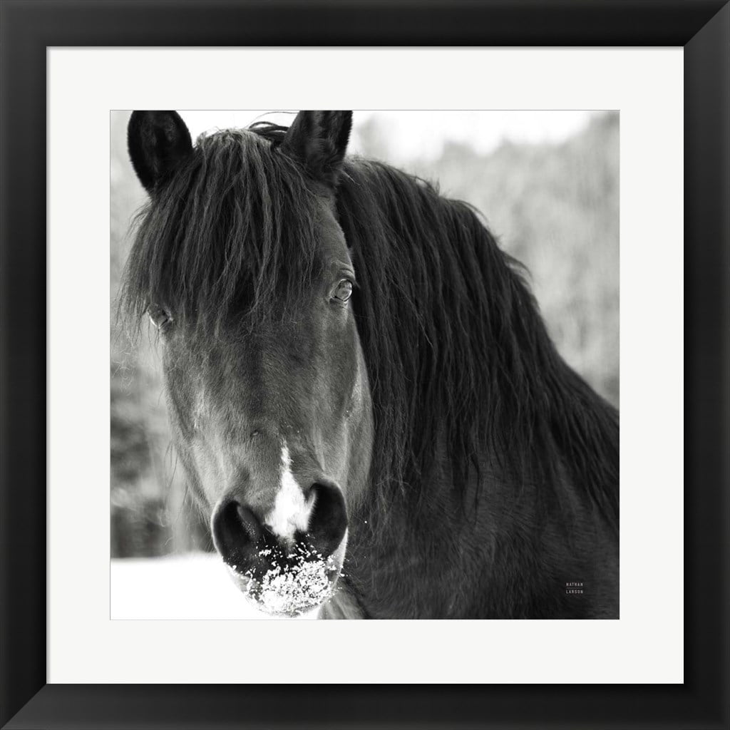 Great Art Now Winter Horse II by Nathan Larson, Framed Wall Art, 19.5W ...