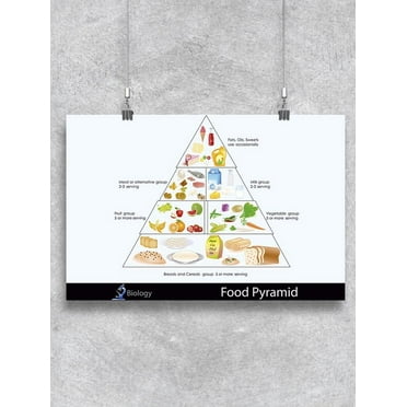 Healthy Living Food Pyramid Ad Poster Nutrition Educational Detailed 24 ...