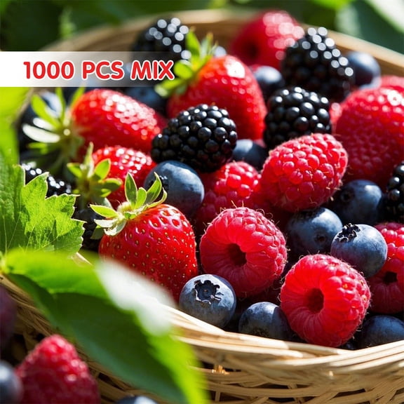 Seedville USA Southern Highbush Blueberry Seeds, 50 Pre-Stratified ...