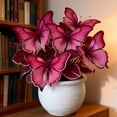 Butterfly Flower Hosta - Shade Loving - Lush Foliage - Cold Hardy ...