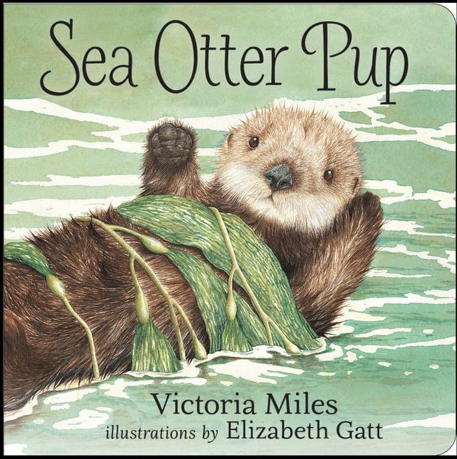 Sea Otter Pup (Board Book) - Walmart.com