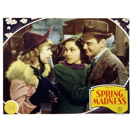 Spring Madness Still (20 x 16) | Walmart Canada