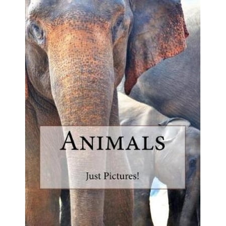 Animals | Walmart Canada