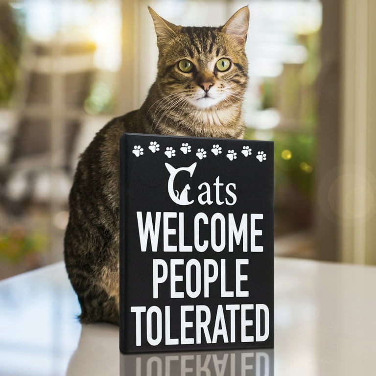 Cat Funny Wood Signs Cat Wood Sign Cat Welcome Wall Hanging Decor