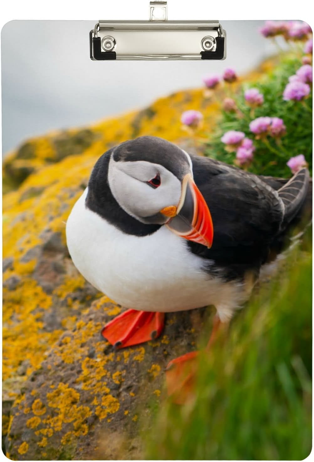 FMSHPON Puffin Wild Flower Clipboard Hardboard Wood Nursing Clip Board ...