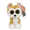 Ty Beanie Boos Stuffed Animal Toy - FREEDOM the Cat (Regular Size - 6 ...