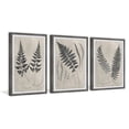 Marmont Hill Vintage Fern Study II Triptych - Walmart.com