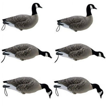 Avian-X AXP Lesser Canada Goose Decoy - Walmart.com