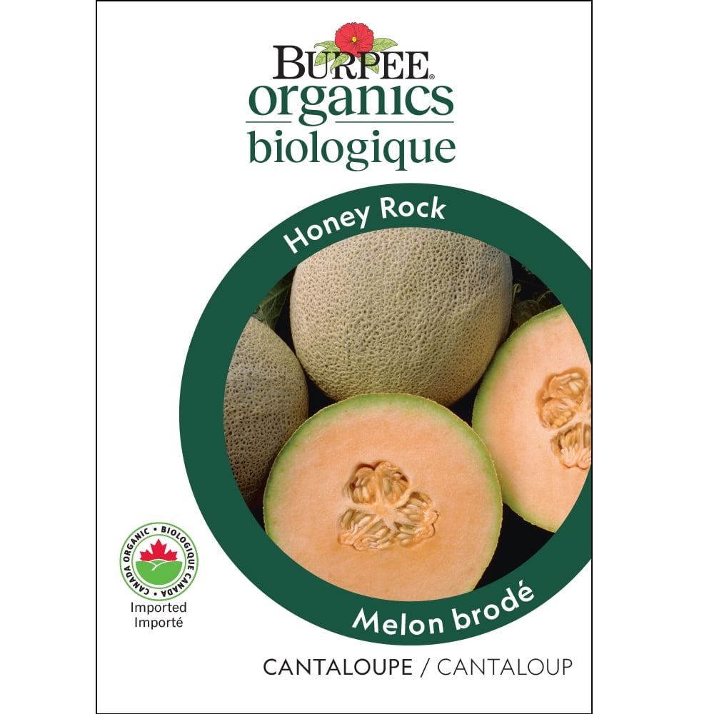 Click here for Burpee Canada Burpee Organic Honey Rock Cantaloupe prices