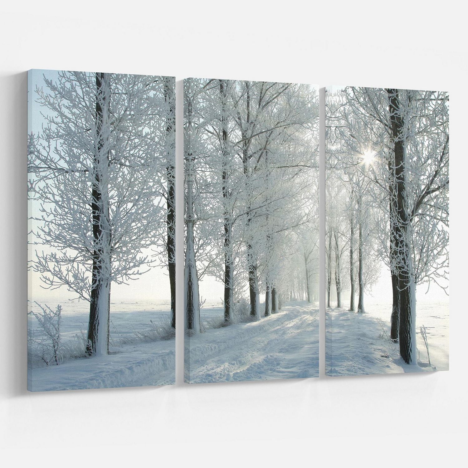 Click here for Designart Winter Trees Backlit By Morning Sun Canv... prices
