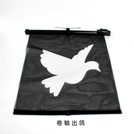 Dove From Scroll Painting Magic Tricks Fire Appearing Magica ...