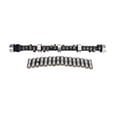 Lunati 10120701LK Voodoo 213/219 Hydraulic Flat Cam/Lifter Kit for 262 ...