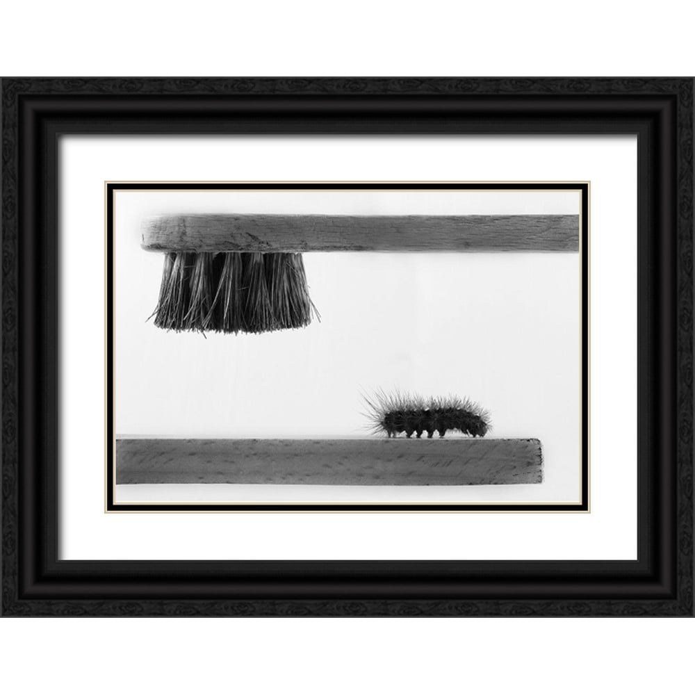 Mallus, Stefano 32x23 Black Ornate Wood Framed with Double Matting ...