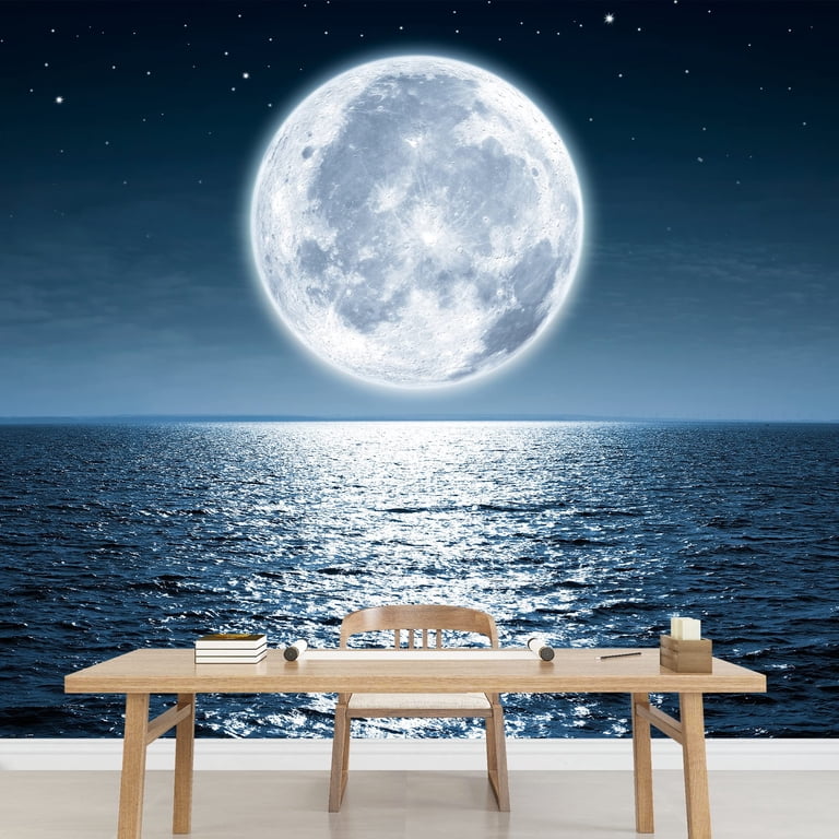 Large Full Moon Over Beach