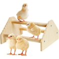 Baby Chicken Perch Strong Pine Wooden Chick Jungle Gym Roosting Bar ...