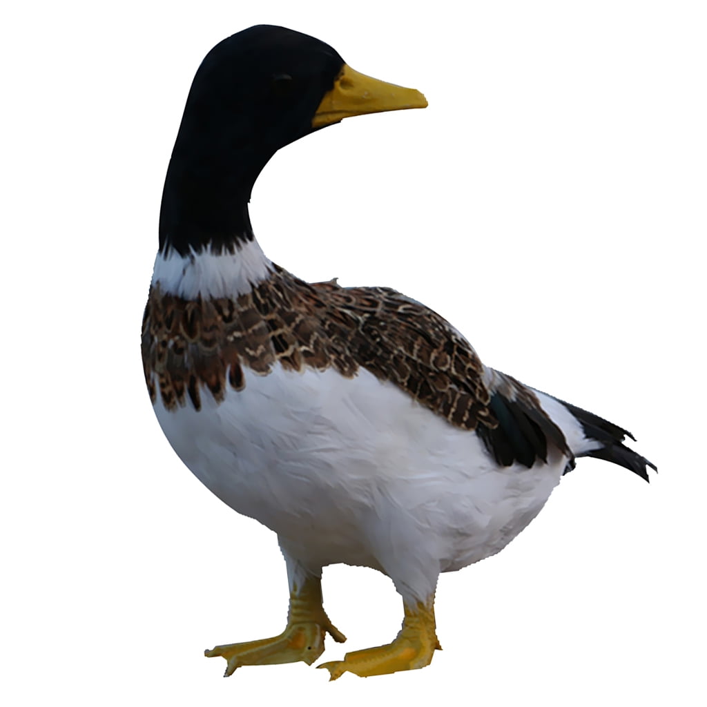 Realistic Artificial Animal Feathered Garden Decor Figure Duck Who ...