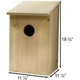 Screech Owl, Saw-Whet & Kestrel House – Pine Owl Nesting Box for ...