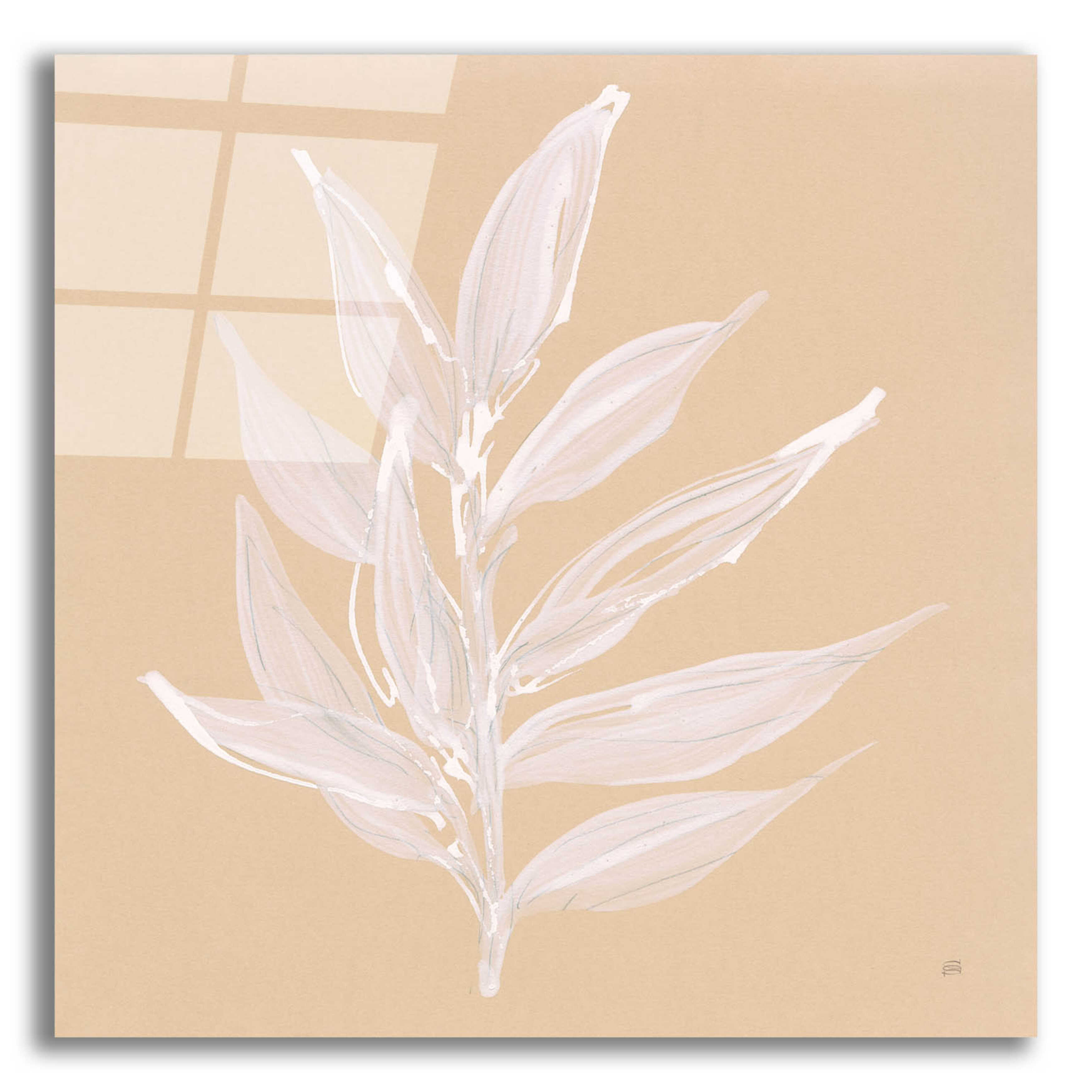 Epic Art 'Leaf Study IV' by Chris Paschke, Acrylic Glass Wall Art, 12 ...