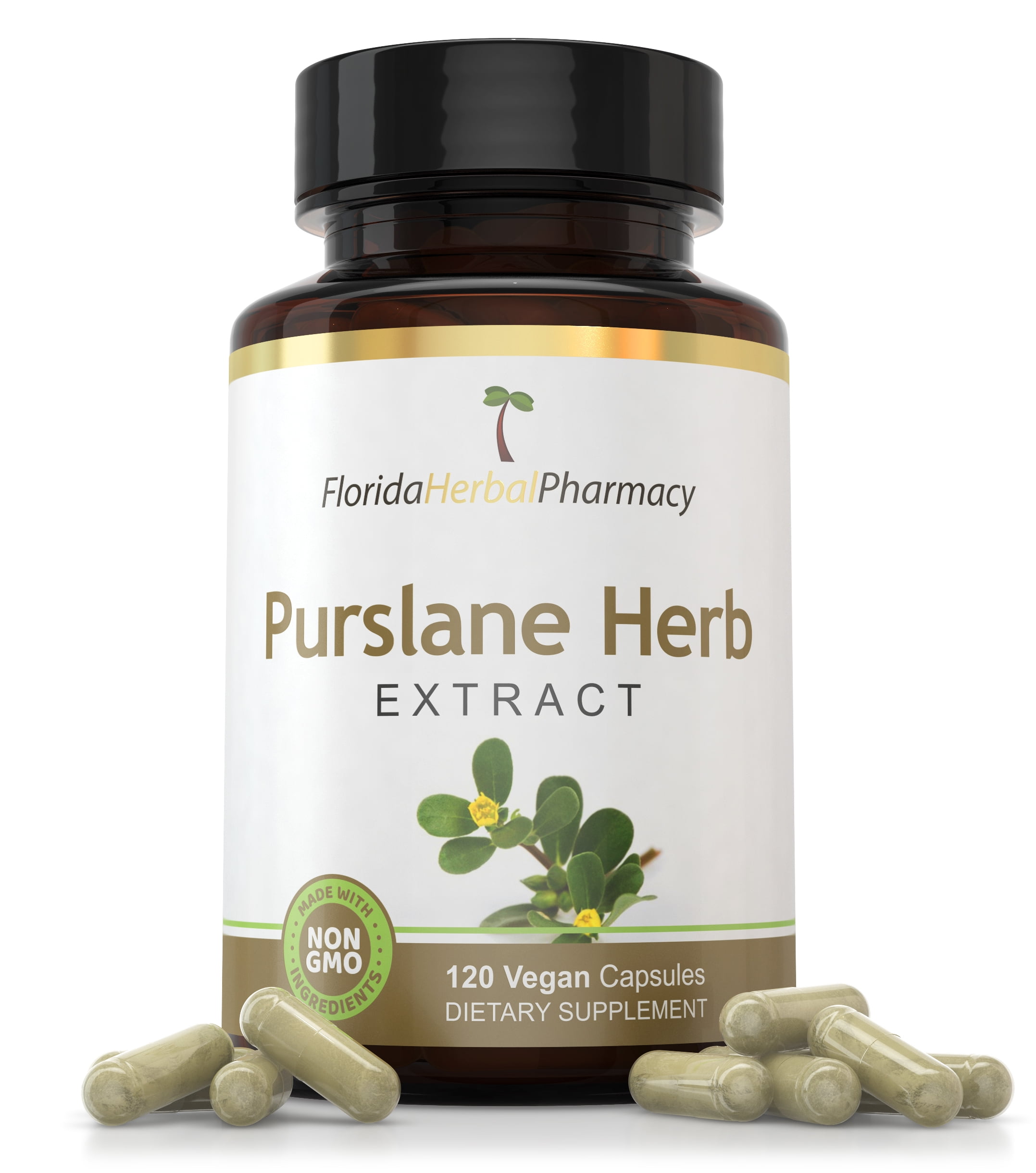 Florida Herbal Pharmacy, Purslane Herb Extract Capsules 10:1 (120 ...