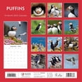 Red Robin 2025 Puffins Wall Calendar, Premium Paper, Hangable 12 Month ...