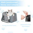 Petsfit, Expandable Soft-Sided Cat Carrier, 19", Gray - Walmart.com