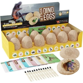 National Geographic Dinosaur Fossil Dig Kit - Walmart.com