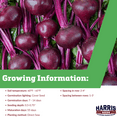 Harris Seeds - Beet Seeds - F1 Hybrid Sweet Merlin Raw Variety - 250 ...