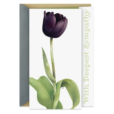 Hallmark Sympathy Card Box Pack (Flowers, 12 Cards with Messages and ...