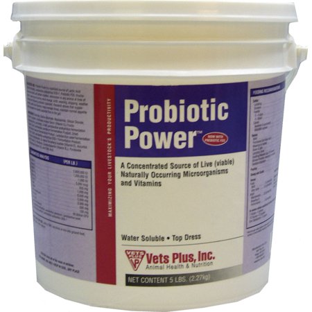 PROBIOTIC POWDER - Walmart.com