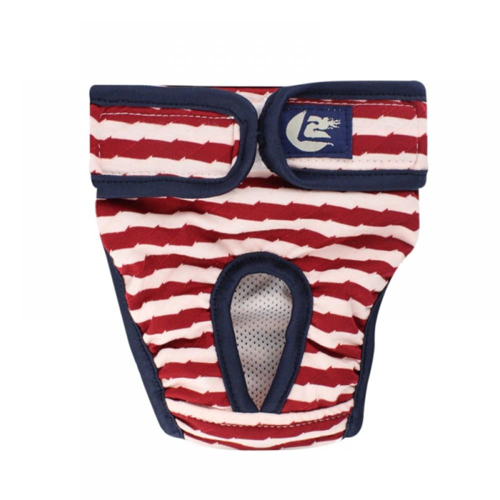 Pet Dog Pants Health Physiology Pets Menstrual Physiological And ...