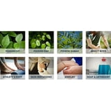 Domeboro Medicated Soak Powder, Rash Relief, 12 ct, 2-Pack, Astringent ...