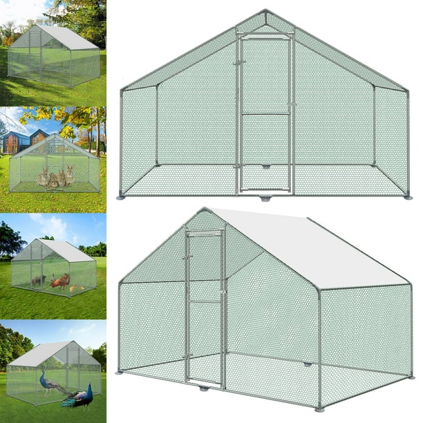 10x10 Chicken Run