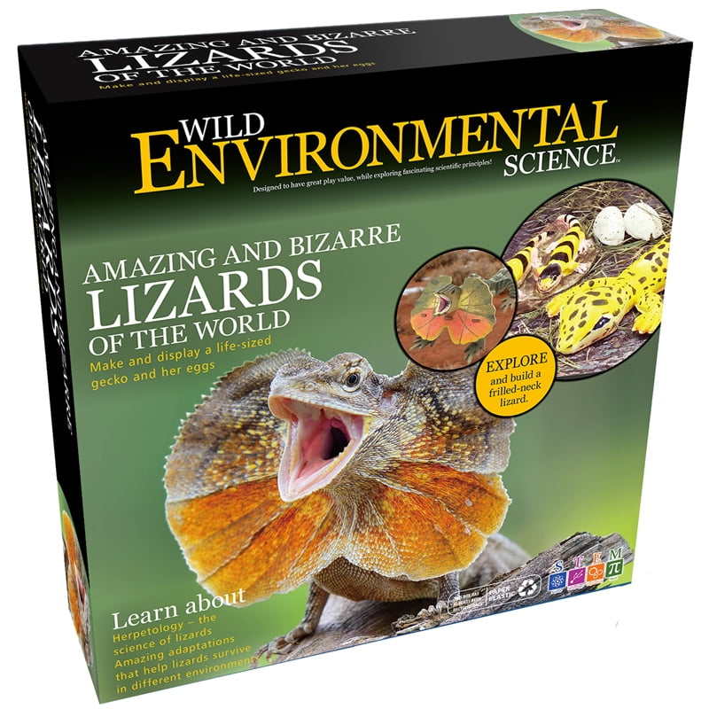 Wild Environmental Science - Amazing and Bizarre Lizards of the World ...