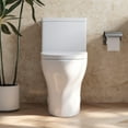 Free Shipping! Ally One-Piece 0.8/1.28 GPF Dual-Flush Elongated Toilet ...