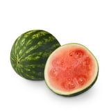 Fresh Mini Seedless Watermelon, Each - Walmart.com