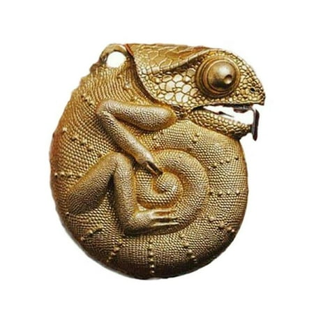 Chameleon Retractable Brass Metric Measure Tape Roll Ruler Portable ...