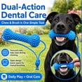 Dual-Action Canine Dental Prop, Easy Mouth-Open Design, Safe & Durable ...